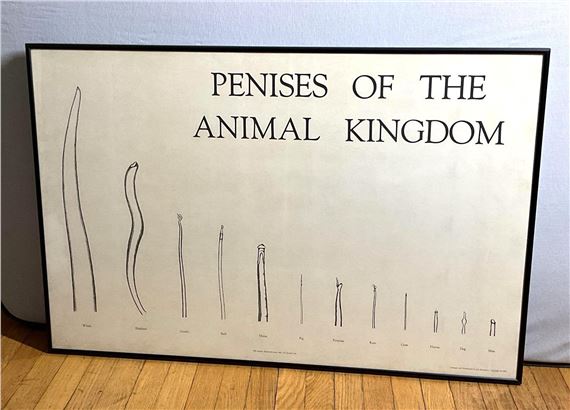 Jim Knowlton | Framed lithograph “Penises of the Animal Kingdom” 1985 ...