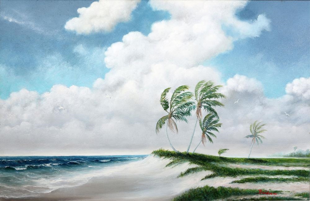 Tom Baldwin | THOMAS BALDWIN FLORIDA ARTIST WINDSWEPT | MutualArt
