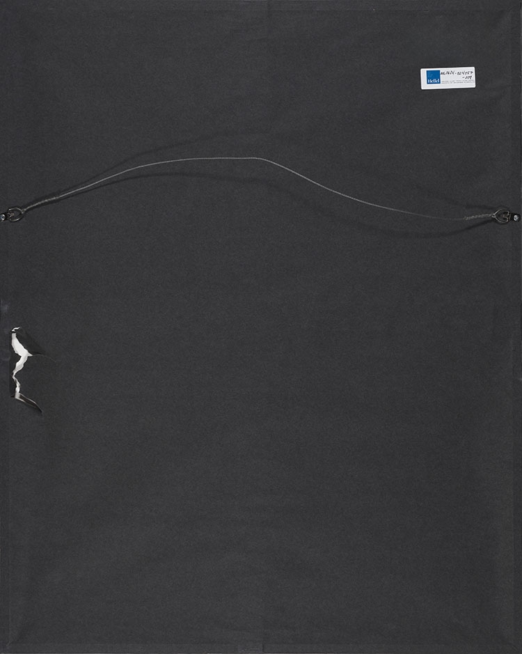 Shuvinai Ashoona | Drawing of Earth in a Doorway (2011) | MutualArt