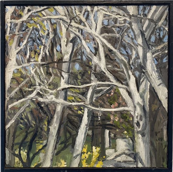 Jason Smith: Trees | Exhibitions | MutualArt