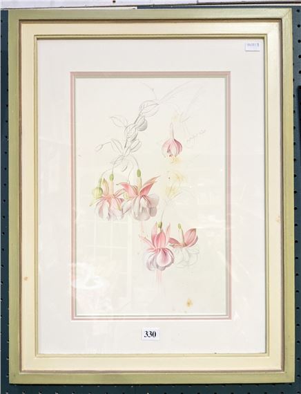 Paul Osborne Jones | Fuchsias | MutualArt