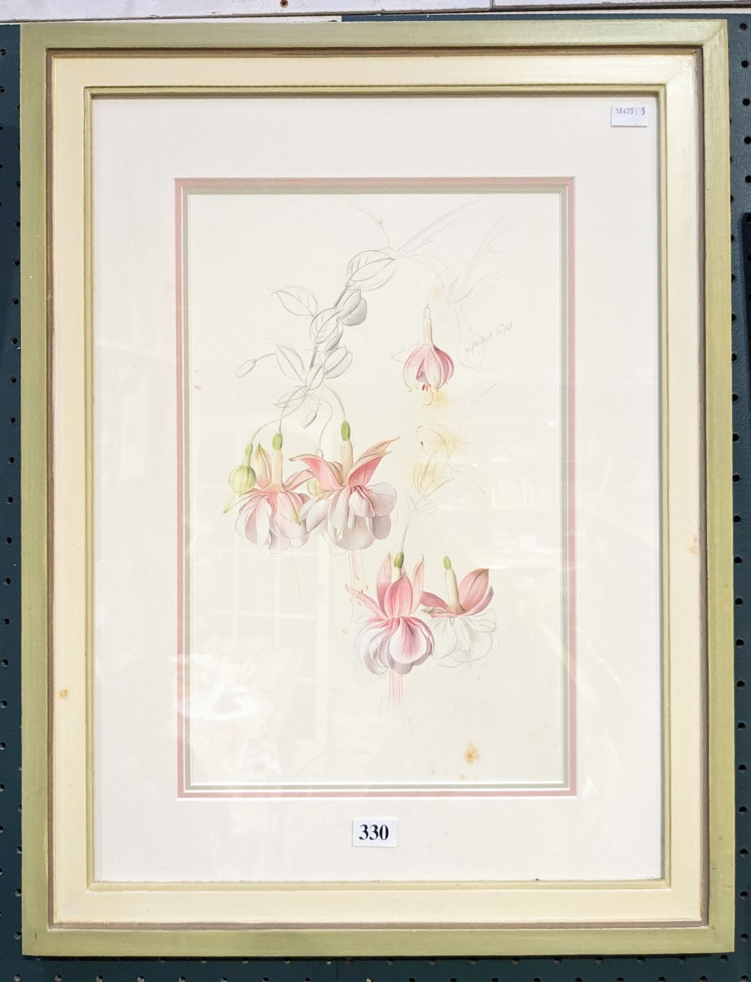 Paul Osborne Jones | Fuchsias | MutualArt