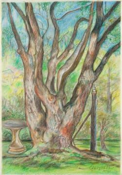 Christopher Peter | 19 Artworks | MutualArt
