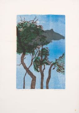 Alice Goldin | Cape Point State II (83) | MutualArt