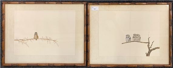 Raymond Harris Ching | The Rifleman Bird | MutualArt