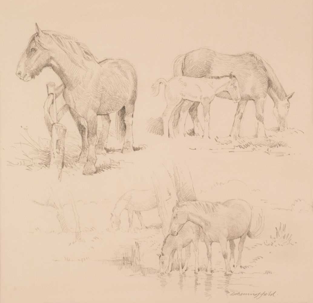 Gordon Beningfield | Pencil drawings of Horses | MutualArt