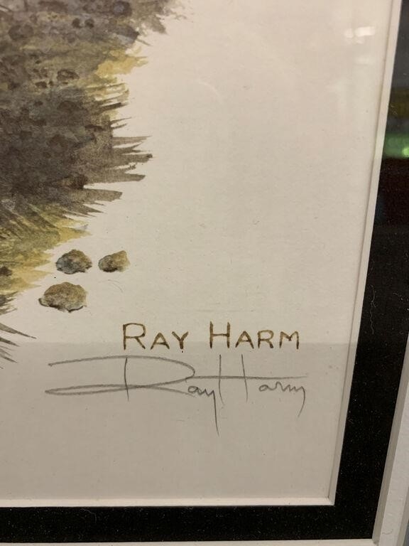 Ray Harm | Ray Harm Signed Lithograph, Striped Skunk | MutualArt