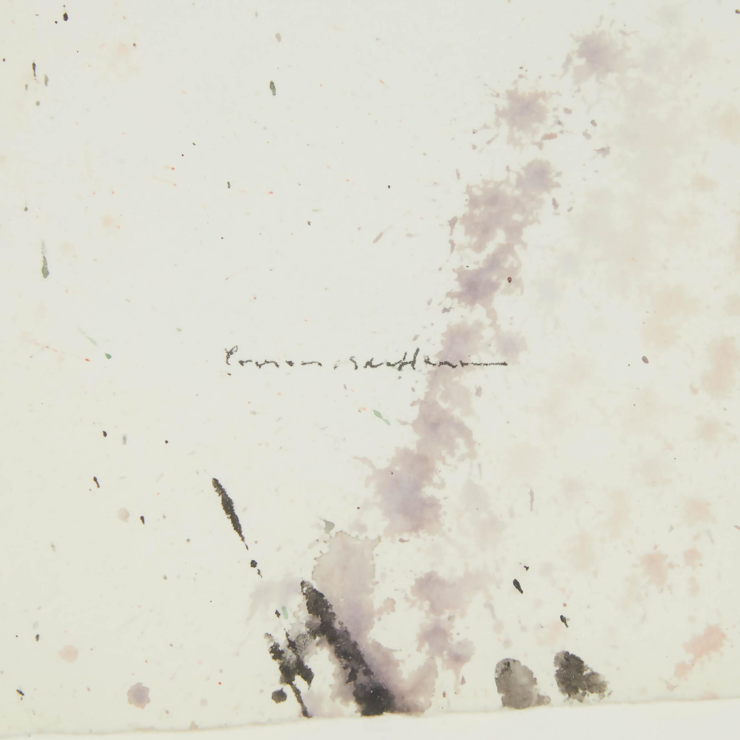 Gordon MacNamara | KAMAKAZE BIRD (1995) | MutualArt