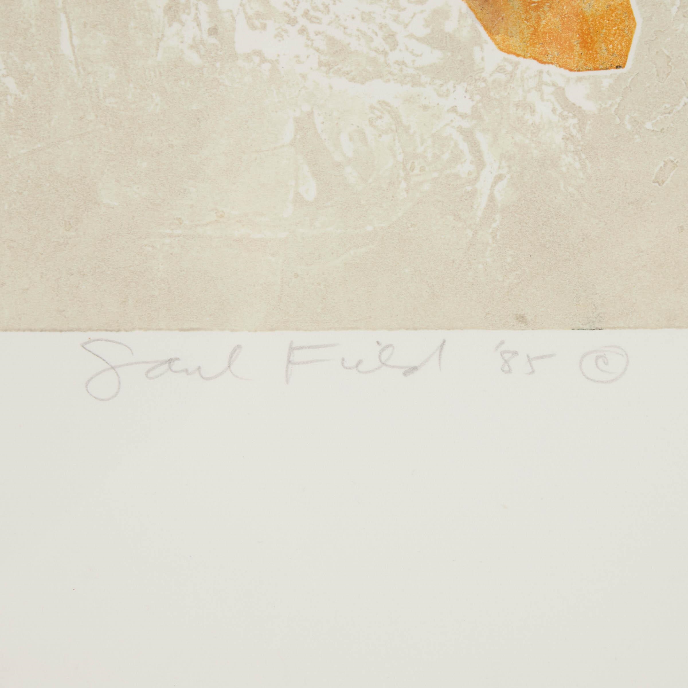 Saul Field | QUEEN OF THE NIGHT (FROM THE MAGIC FLUTE SUITE) (1985 ...