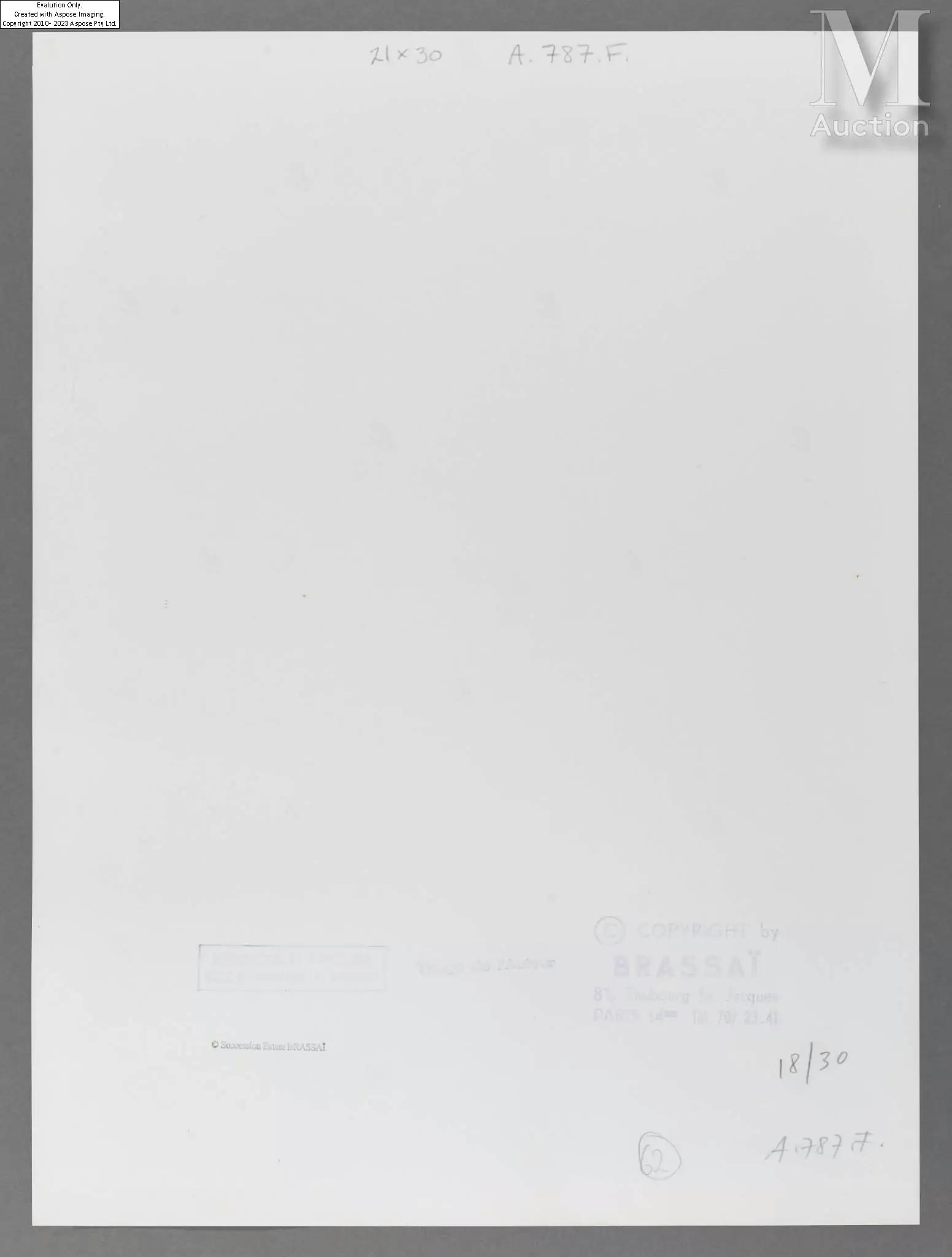 Brassaï | Jean Genet, 1948 (1948) | MutualArt