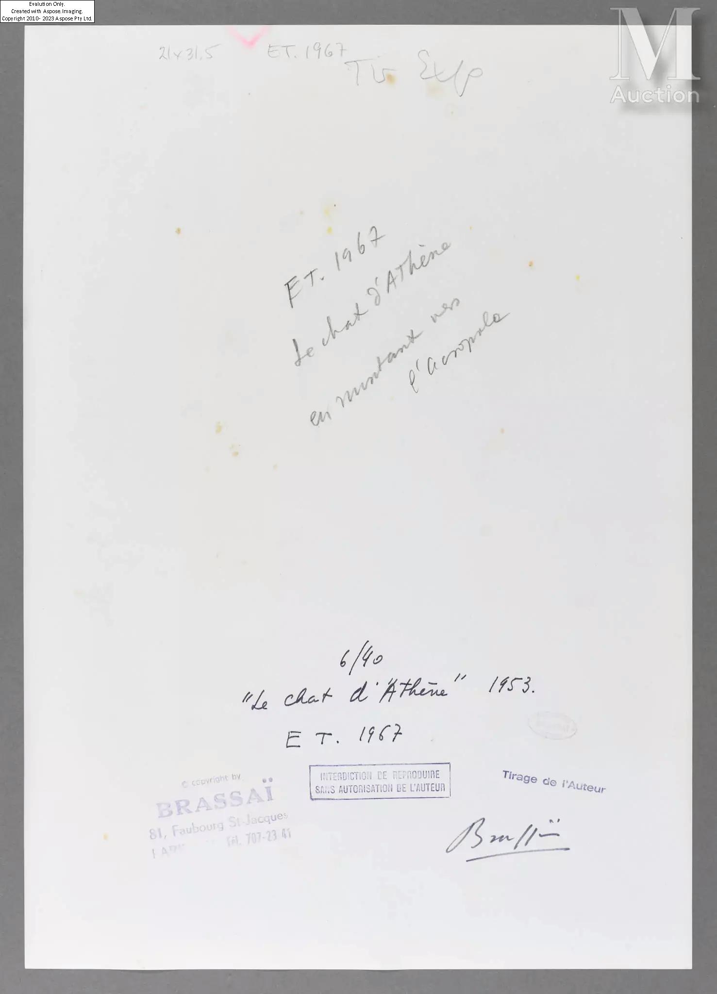 Brassaï | BRASSAÏ (Gyula Halász, dit) (1899-1984 (1953) | MutualArt