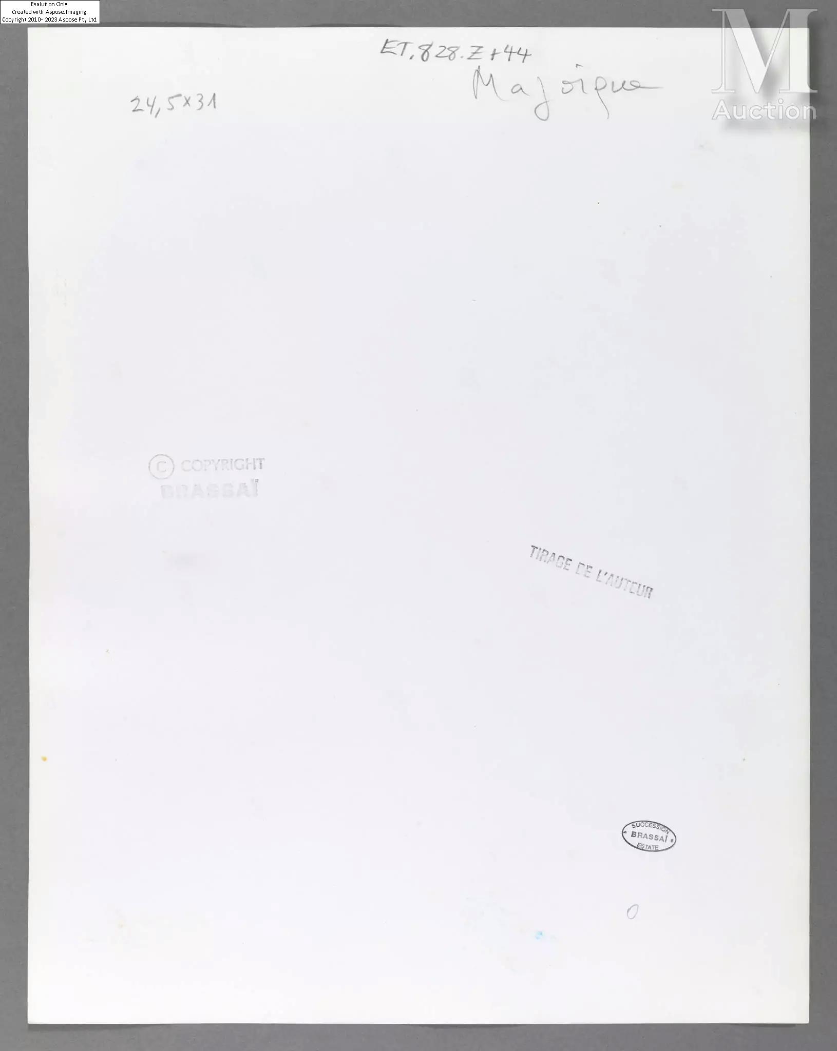 Brassaï | BRASSAÏ (Gyula Halász, dit) (1899-1984 (1953) | MutualArt