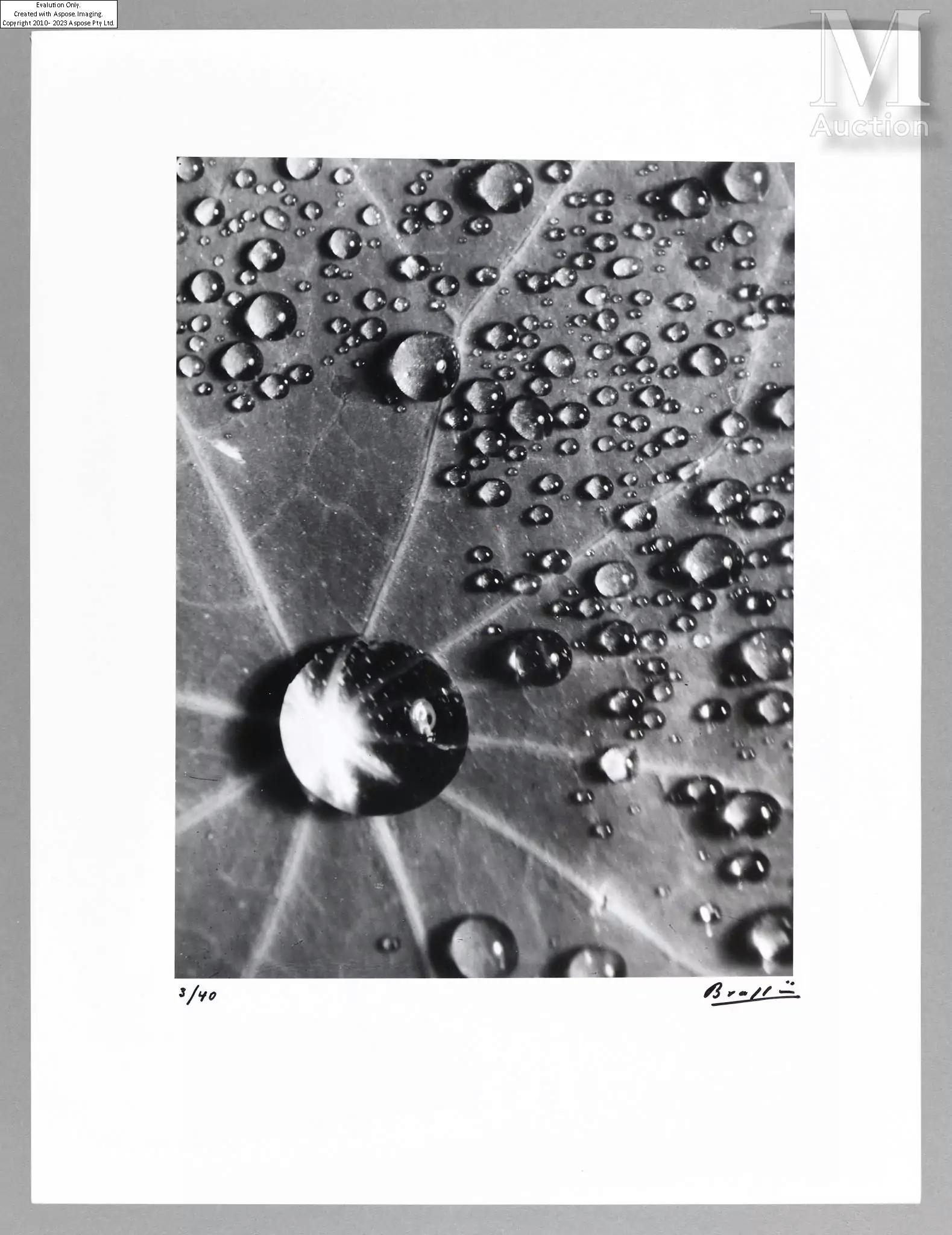 Brassaï | BRASSAÏ (Gyula Halász, dit) (1899-1984 | MutualArt