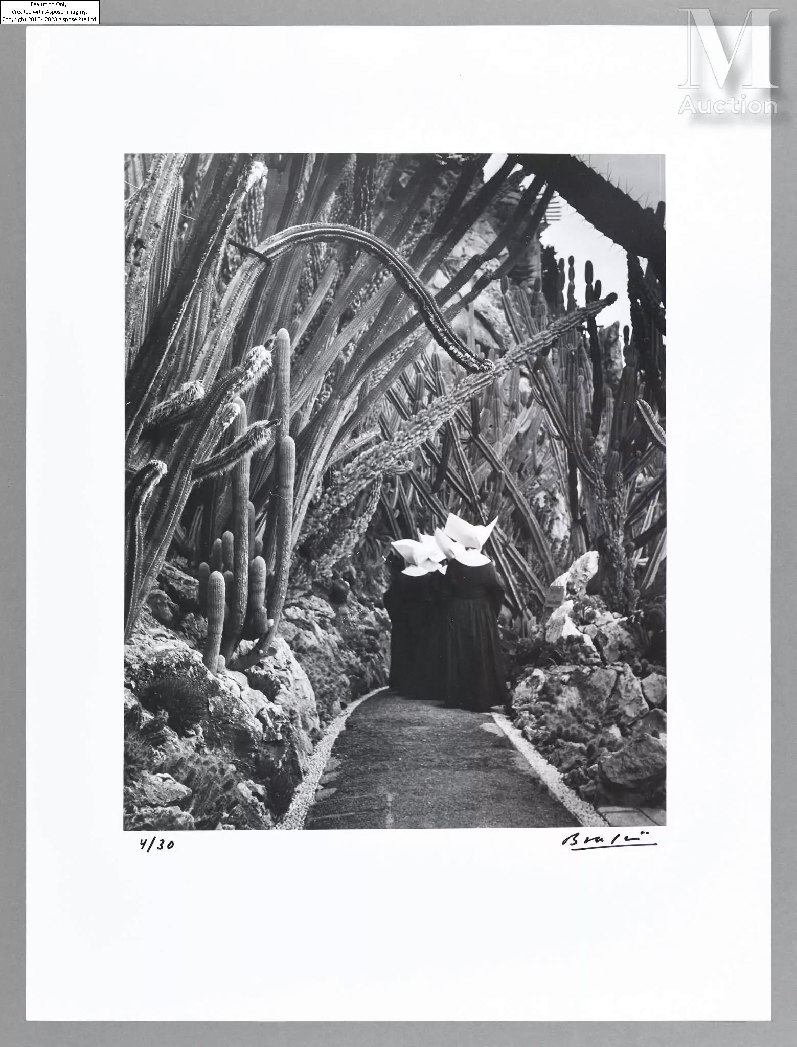 Brassaï | BRASSAÏ (Gyula Halász, dit) (1899-1984 (1945) | MutualArt