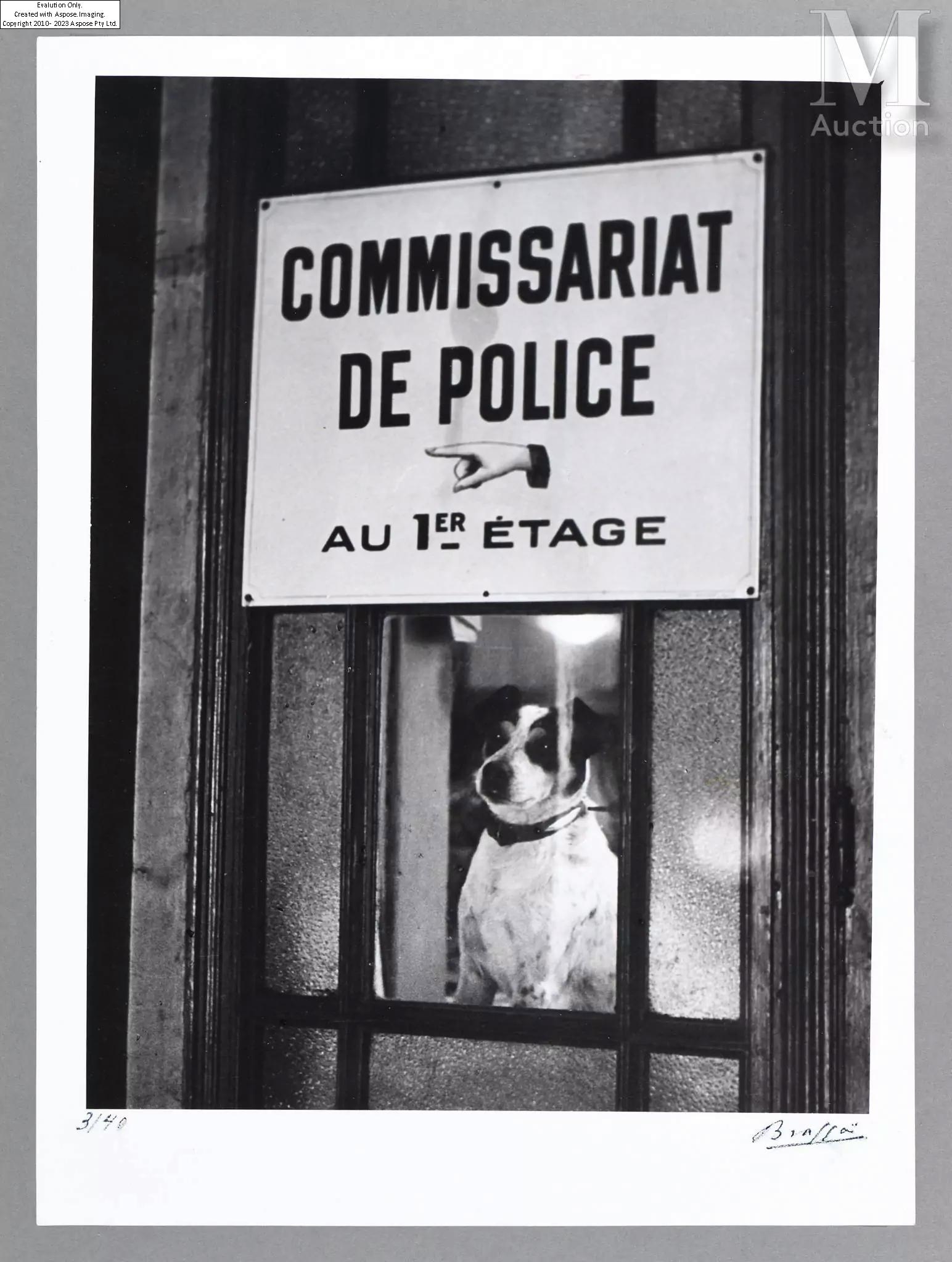 Brassaï | BRASSAÏ (Gyula Halász, dit) (1899-1984 (1954) | MutualArt
