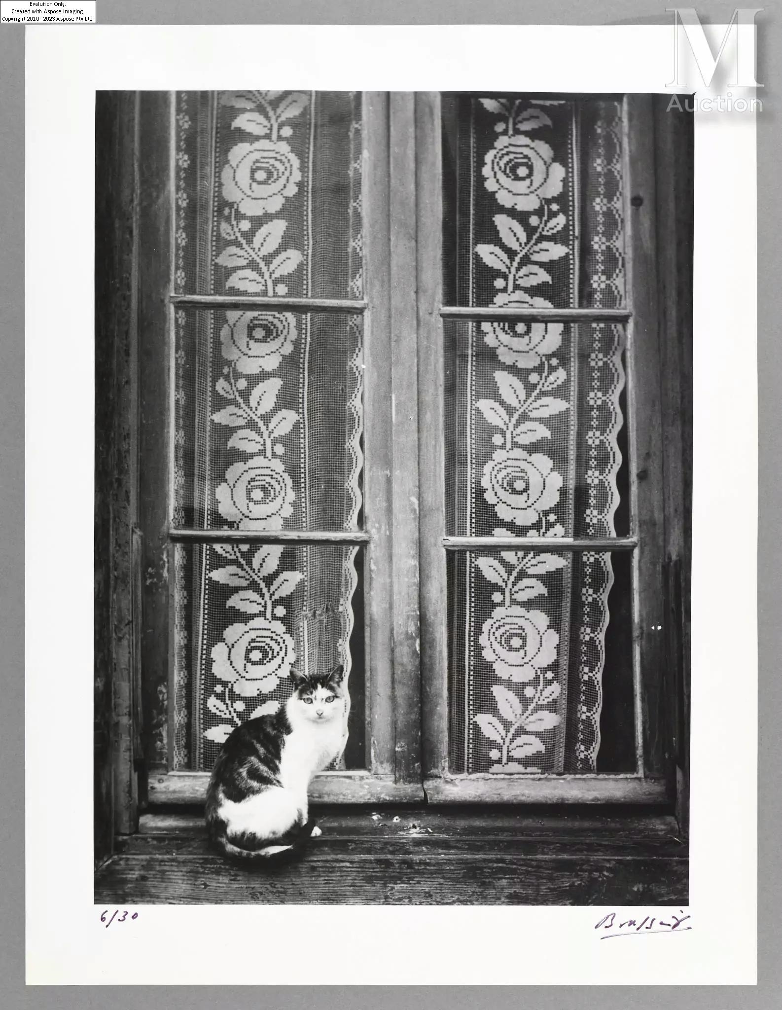 Brassaï | BRASSAÏ (Gyula Halász, dit) (1899-1984 (1948) | MutualArt