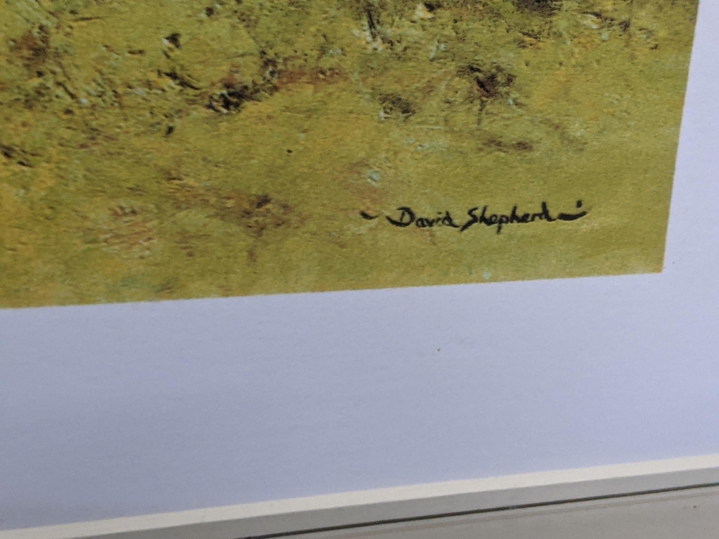 David Shepherd | Two David Shepherd prints (1990) | MutualArt