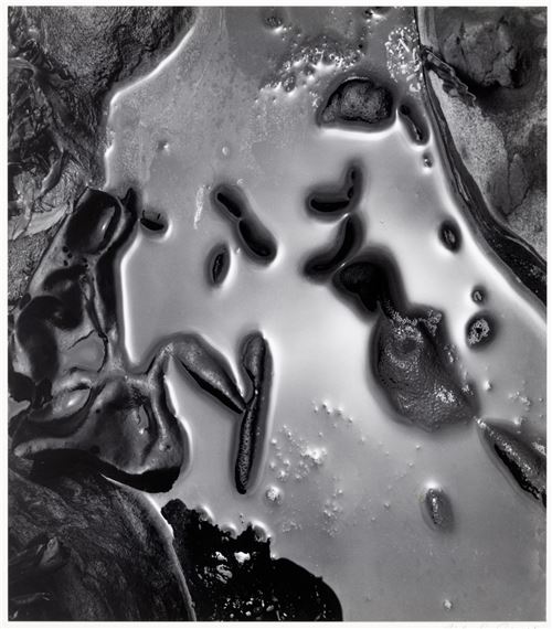 Richard Garrod | Tidepool - Point Lobos (1982) | MutualArt