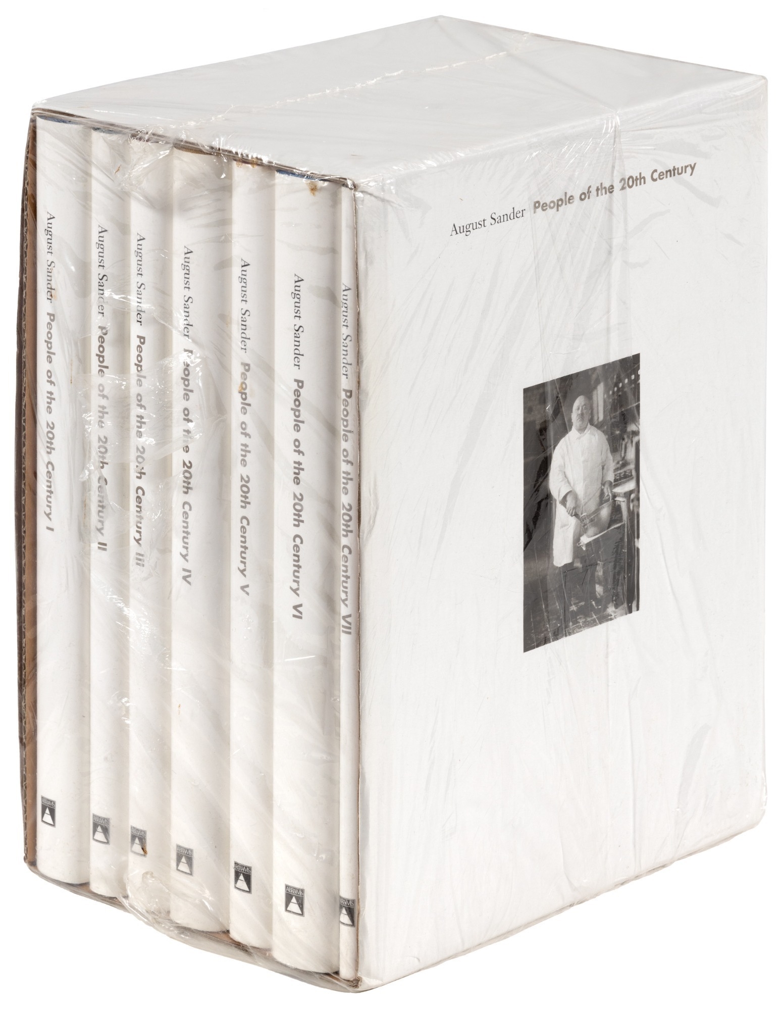 August Sander | Gypsy Boy (1930) | MutualArt