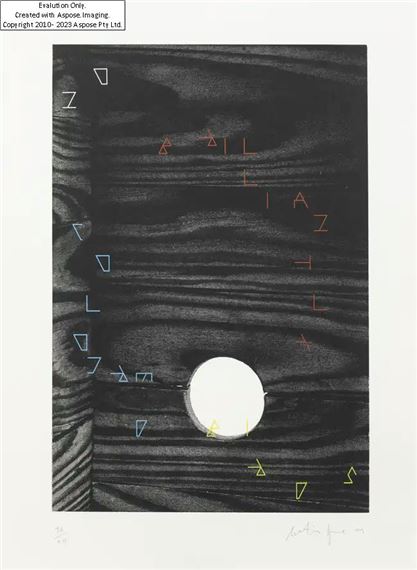 Martin Boyce | No Brilliantly Coloured Birds (small) (2009) | MutualArt