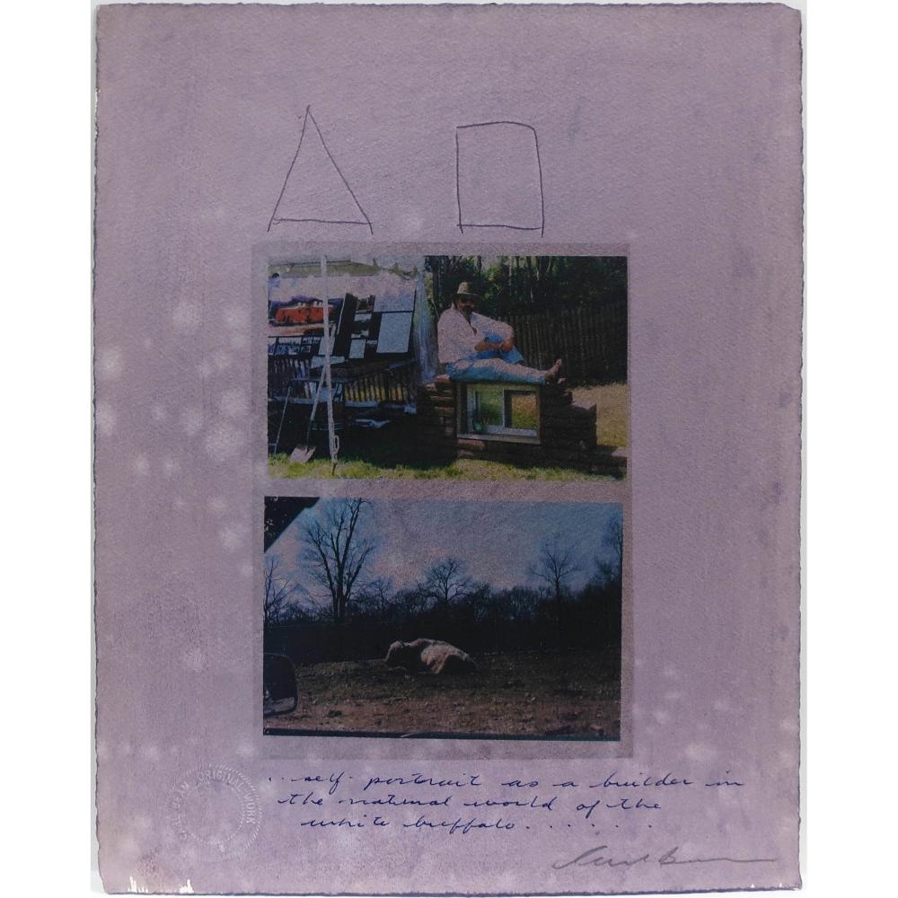 Carl Beam | SELF PORTRAIT AS A BUILDER IN THE NATIONAL WORLD OF THE ...
