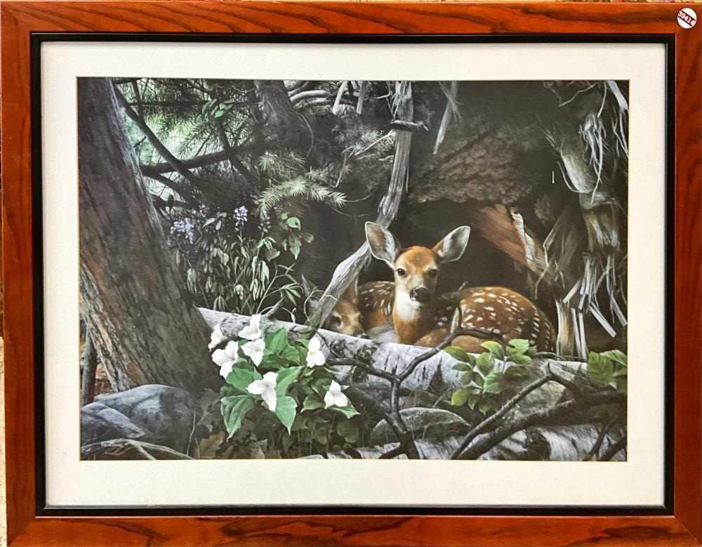 Kevin Daniel | Deer Fawns | MutualArt