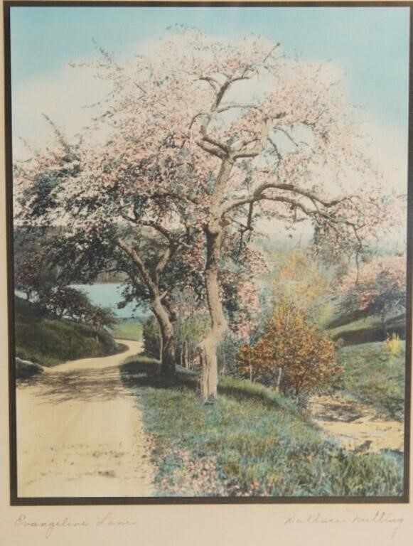 Wallace Nutting | Wallace Nutting (1861-1941) hand color photograph ...