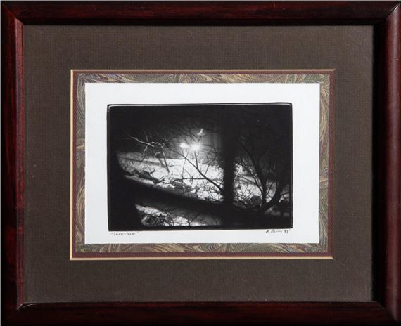 Robin Rice | 3 Artworks at Auction | MutualArt