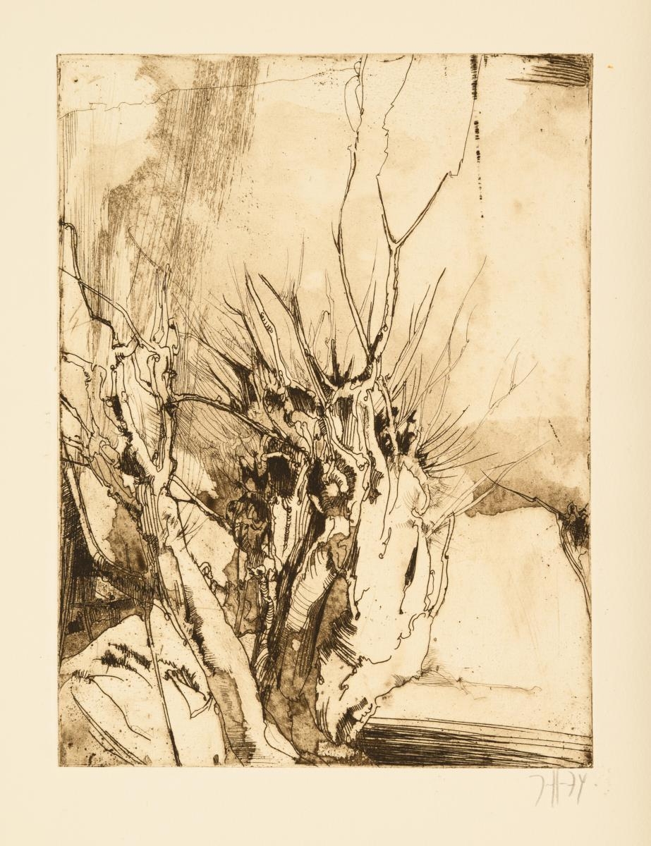 Horst Janssen | 9 etchings from the 1970s (1970s) | MutualArt