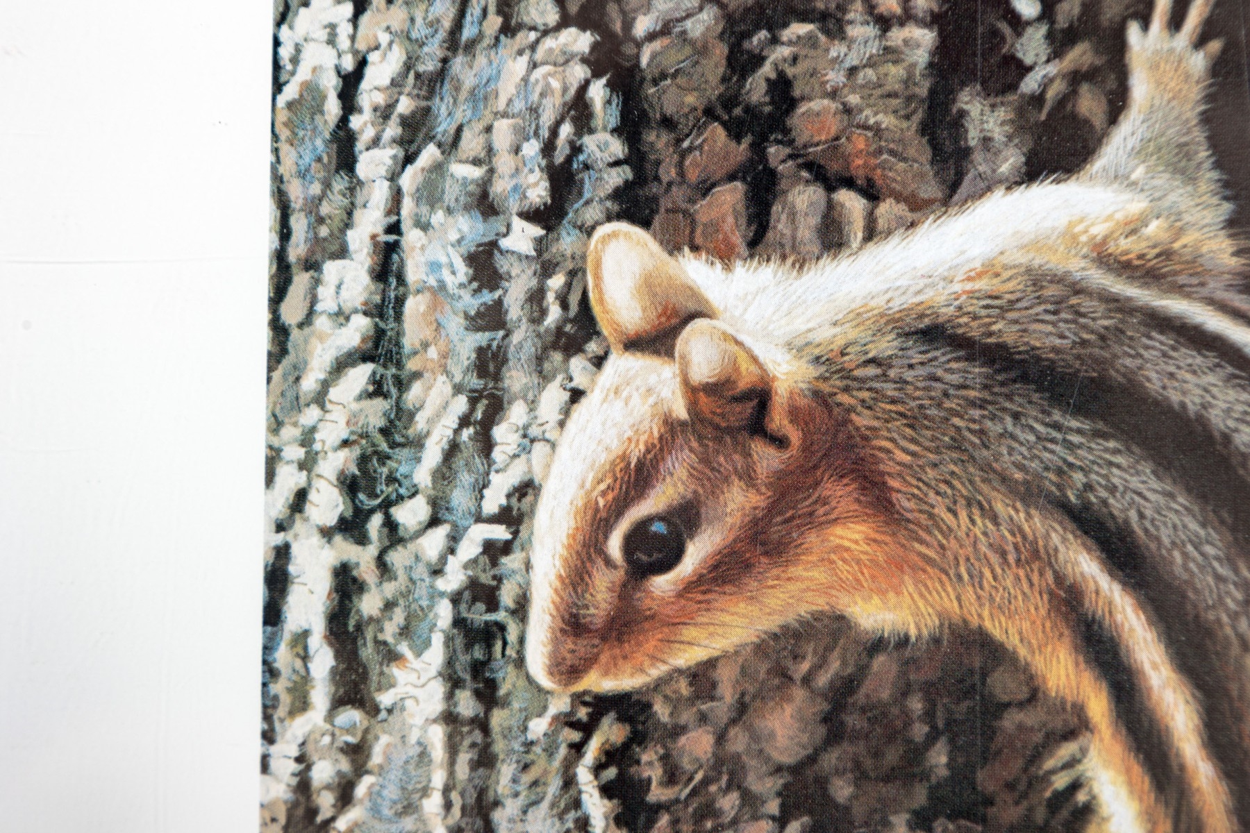 Carl Brenders | Narrow Escape-Chipmunk | MutualArt