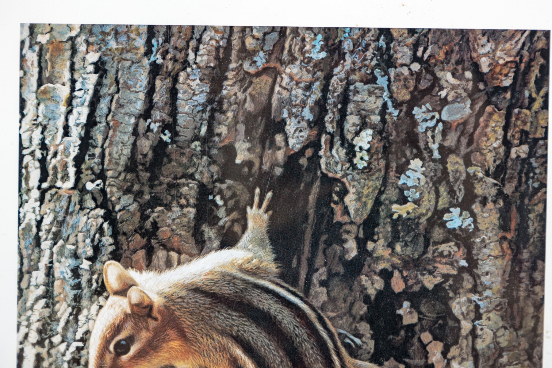 Carl Brenders | Narrow Escape-Chipmunk | MutualArt