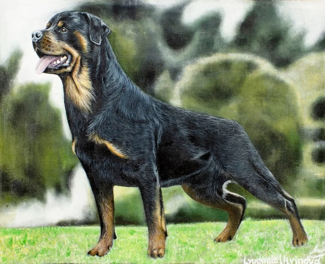 Lyudmila Litvinova | Rottweiler Dog | MutualArt