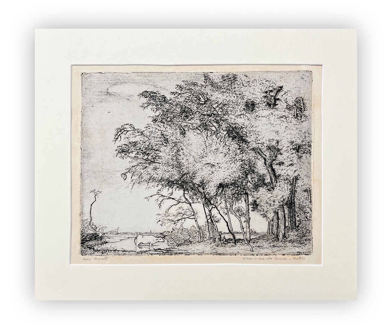 Cino Bozzetti | Il bosco in riva alla Bormida - Mattino | MutualArt