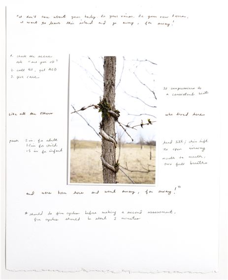 Rachel Beamer | Artist Overview | MutualArt