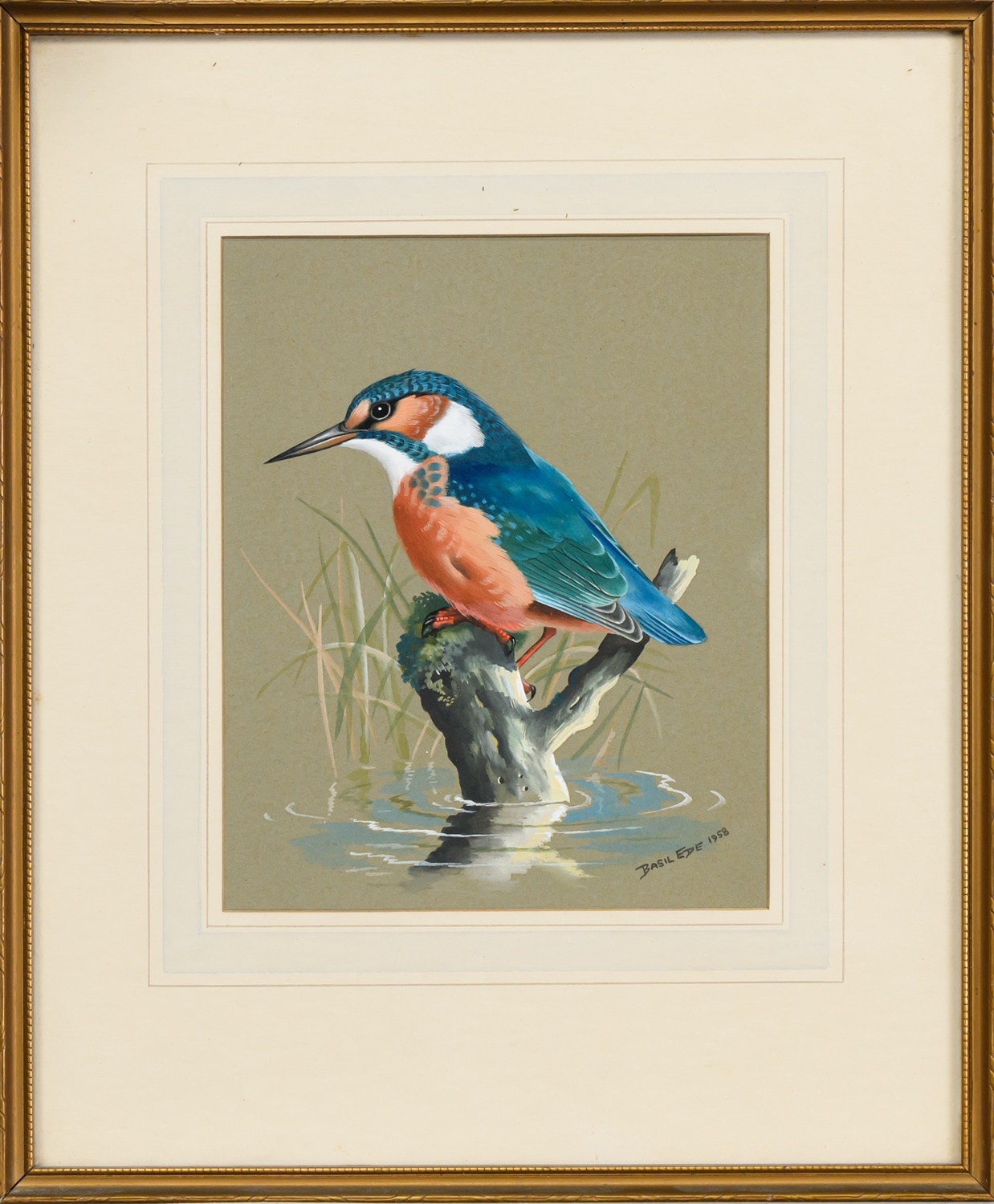 Basil Ede | Common Sheldrake | MutualArt