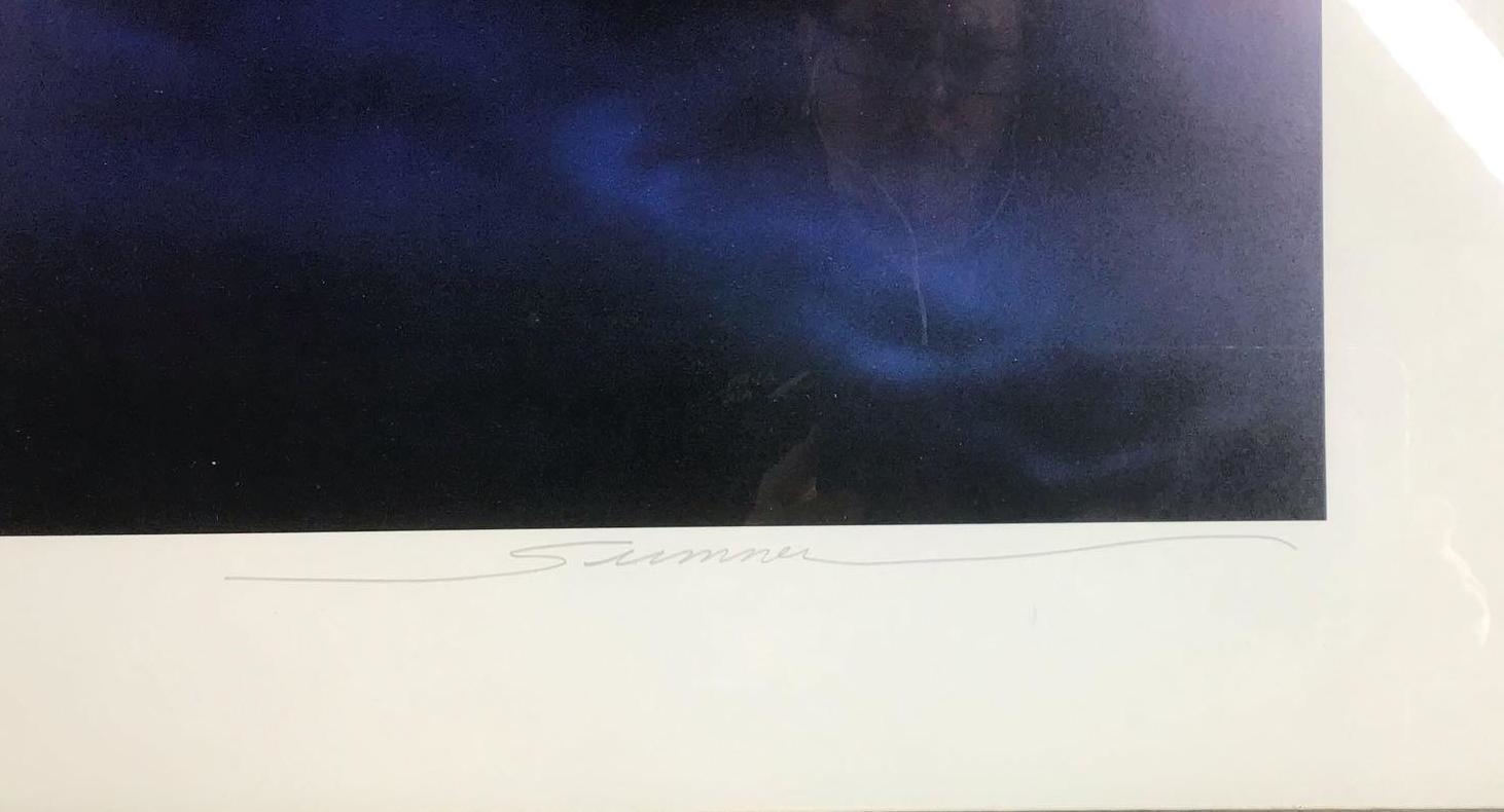 George Sumner | 27h x 36w overall | MutualArt