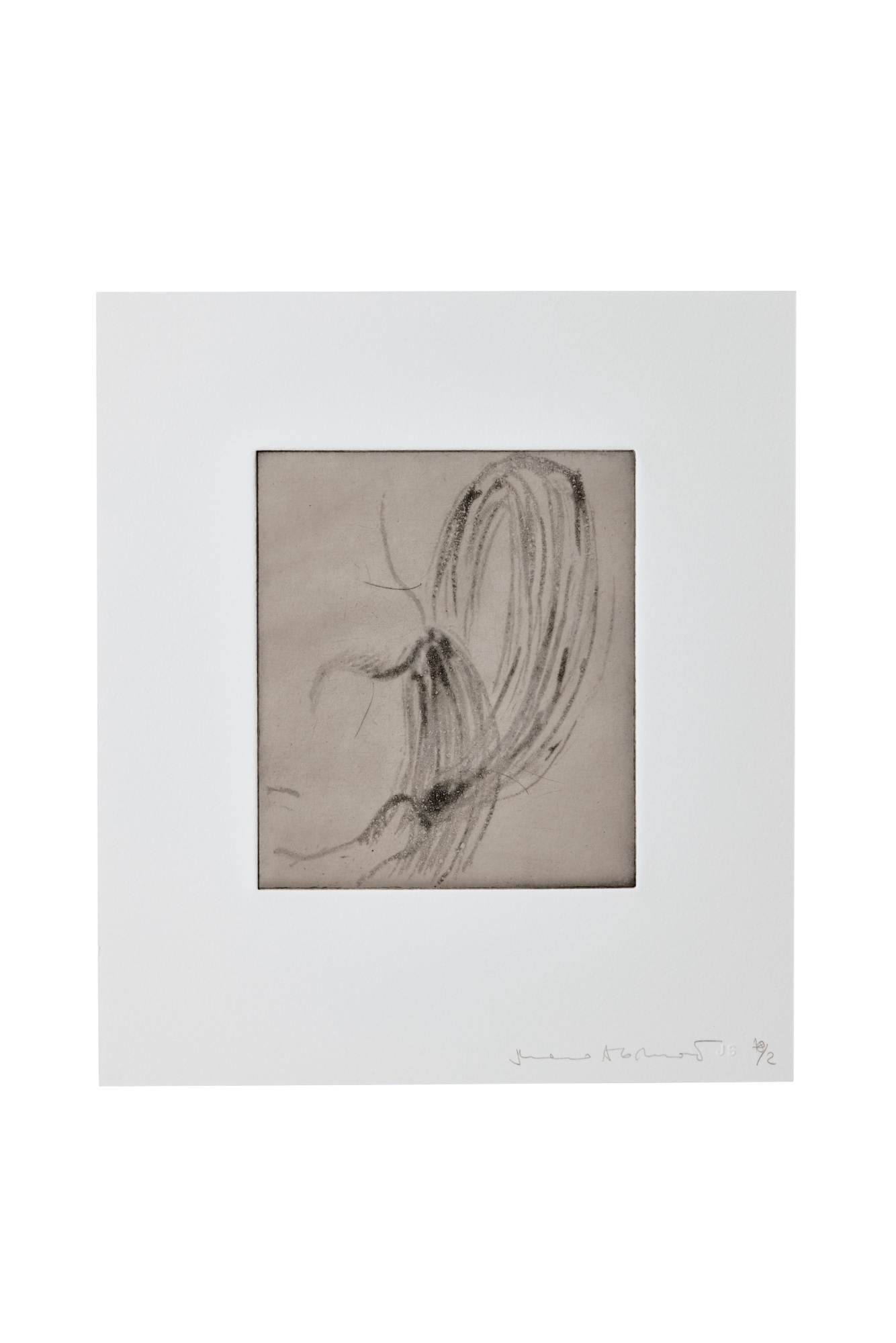 Marina Abramović | Spirit Cooking (1996) | MutualArt