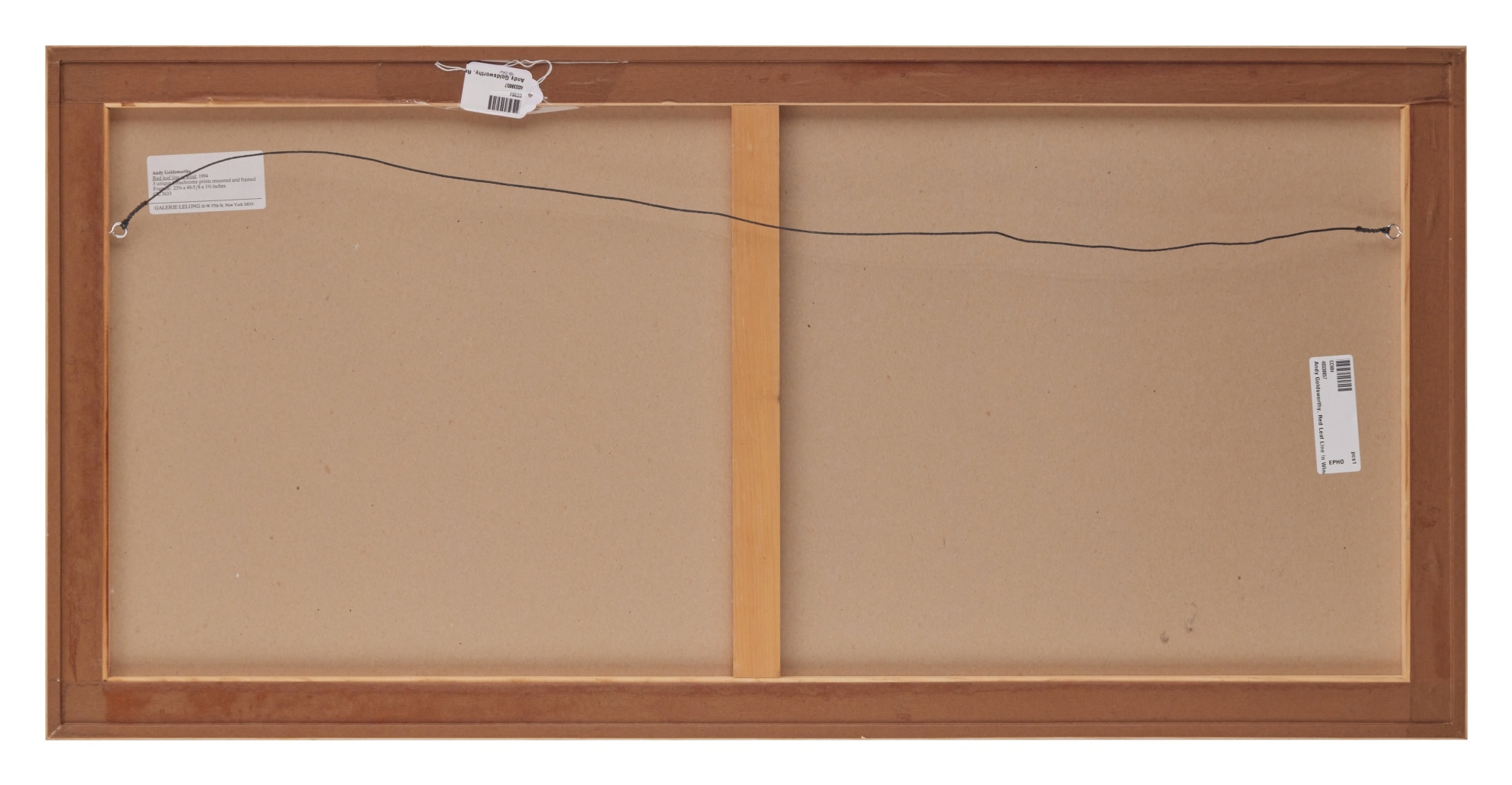 Andy Goldsworthy | Red leaf line in wind | MutualArt