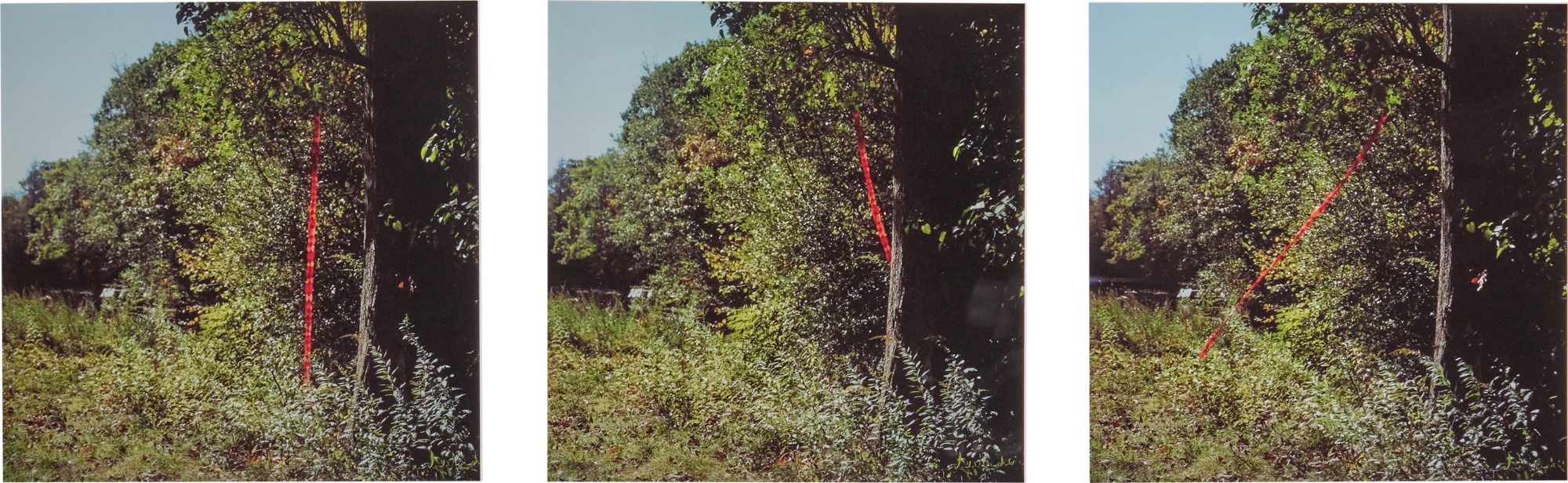 Andy Goldsworthy | Red leaf line in wind | MutualArt
