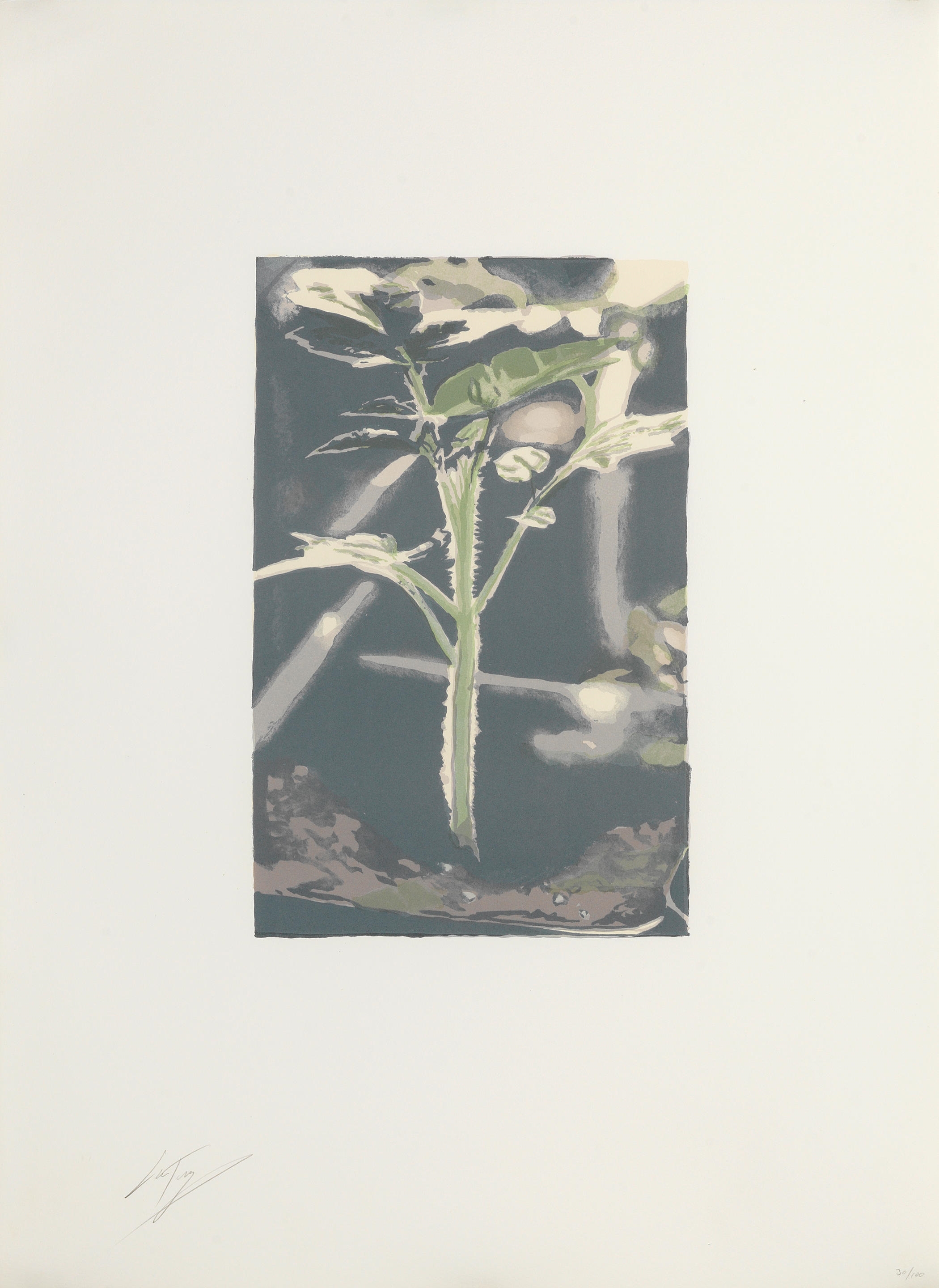 Luc Tuymans | Ohne Titel (1987) | MutualArt