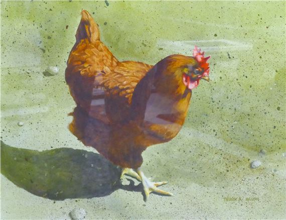 Terry Ann Bader | Biography