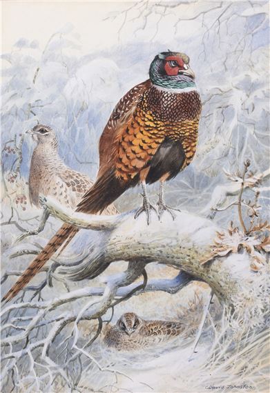 Cyril David Johnston | Pheasants in Snow | MutualArt
