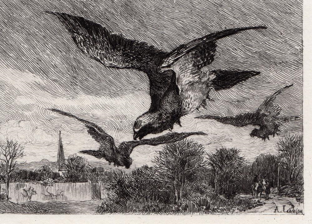 Auguste Lançon | Auguste Andre Lancon Hawks etching signed (1874 ...
