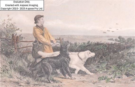 John Cother Webb | Duck shooting | MutualArt