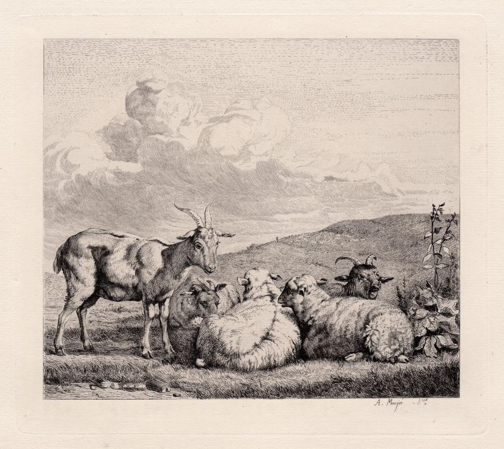Karel Dujardin | Karel Dujardin Sheep and Goats etching signed (1622 ...