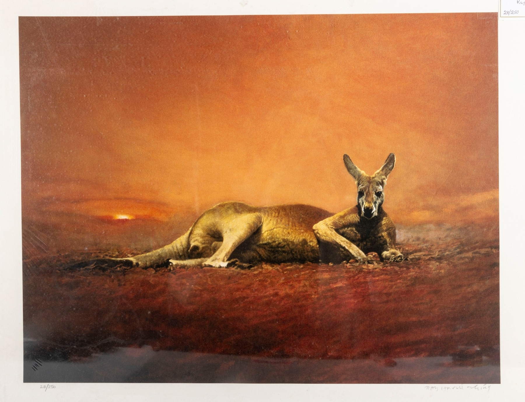 Raymond Harris Ching | Peacocks | MutualArt