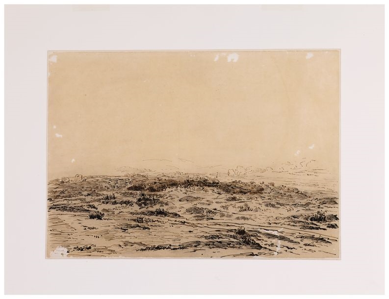 Théodore Rousseau | Plain in the forest of Fontainebleau | MutualArt