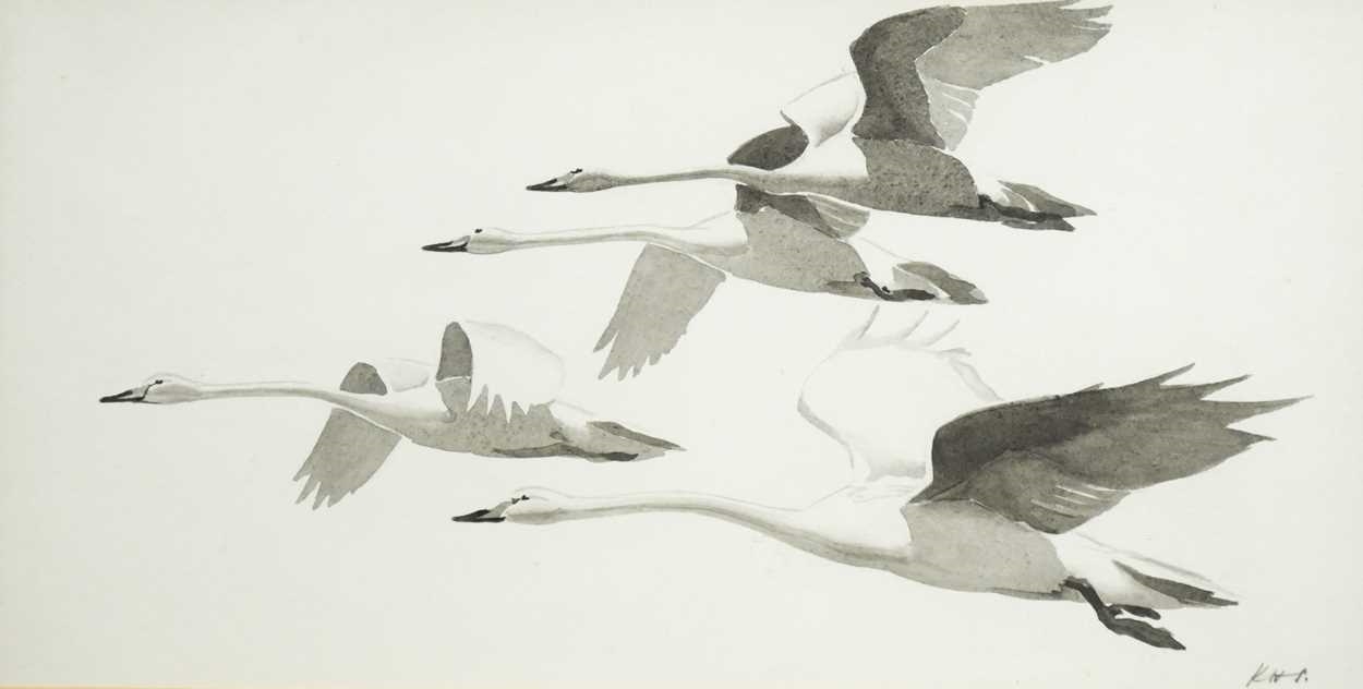 Keith Shackleton | Storm petrels in flight (1988) | MutualArt