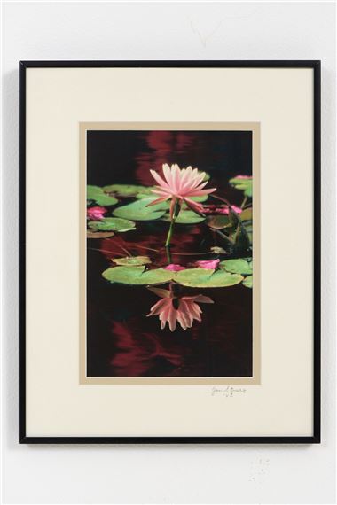 Jan Stuart | 1 Artworks at Auction | MutualArt