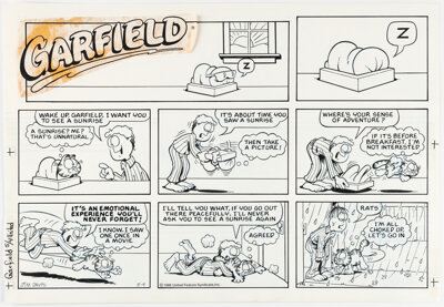 Jim Davis | Jim Davis Garfield Sunday Comic Strip Original Art dated 5 ...